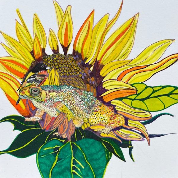 Carla Waugh – The Art of Carla Waugh