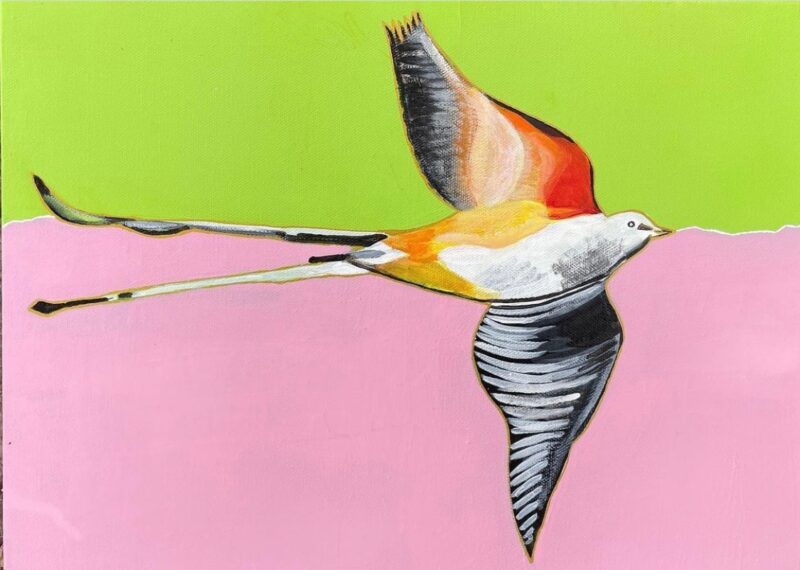 Carla Waugh – The Art of Carla Waugh